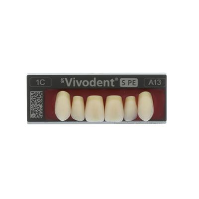 SR Vivodent S PE
