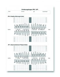 Erhebungsbogen PBI/API